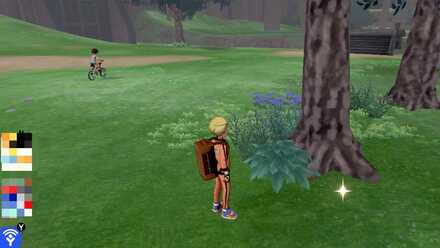 Large Leek Effect and How to Get It | Pokemon Sword and Shield｜Game8