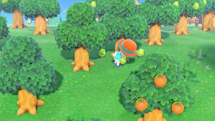 List of Controls | Animal Crossing: New Horizons (Switch)｜Game8