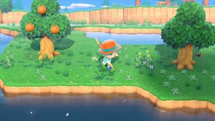 List of Controls | ACNH - Animal Crossing: New Horizons (Switch)｜Game8