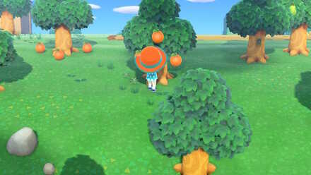 List of Controls | Animal Crossing: New Horizons (Switch)｜Game8