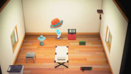 List of Controls | Animal Crossing: New Horizons (Switch)｜Game8