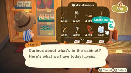 How to Get Rid of a Bee Sting | ACNH - Animal Crossing: New Horizons ...