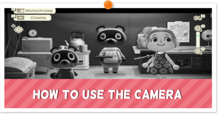 How to Use the Camera | ACNH - Animal Crossing: New Horizons (Switch)｜Game8