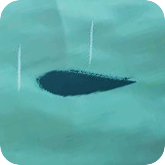 Barreleye Shadow Size, Price and How to Catch | ACNH - Animal Crossing ...