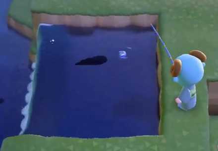 Stringfish Shadow Size, Price and How to Catch | Animal Crossing: New ...