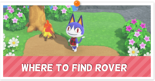 Where to Find Rover | ACNH - Animal Crossing: New Horizons (Switch)｜Game8