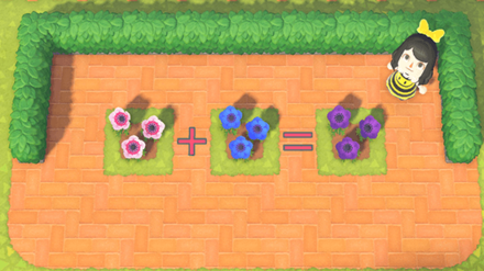 How to Make Purple Windflowers | ACNH - Animal Crossing: New Horizons ...