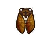 Brown Cicada Times and How to Catch | ACNH - Animal Crossing: New ...