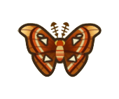 Atlas Moth Times and How to Catch | ACNH - Animal Crossing: New ...