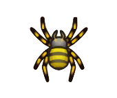 Spider Times and How to Catch | ACNH - Animal Crossing: New Horizons ...