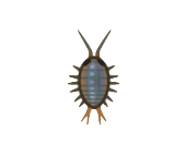 Wharf Roach Times and How to Catch | ACNH - Animal Crossing: New ...