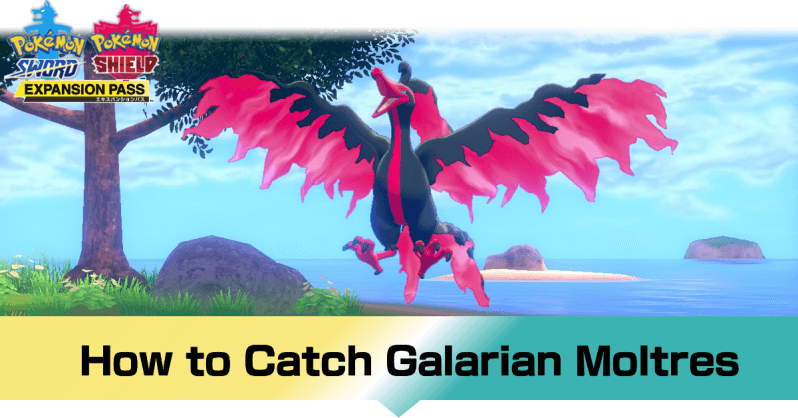 How to Get Galarian Moltres and Learnset | Crown Tundra DLC - Pokemon Sword and Shield｜Game8