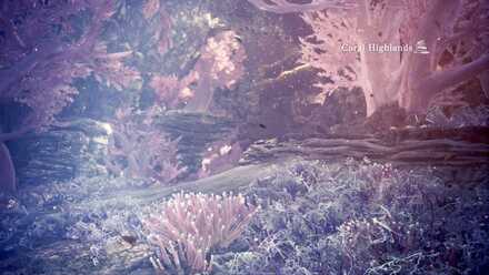 Great Whetfish - Where to Find | Monster Hunter World (MHW)｜Game8