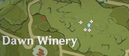 How to Get Windwheel Aster and Effects | Windwheel Aster Locations ...