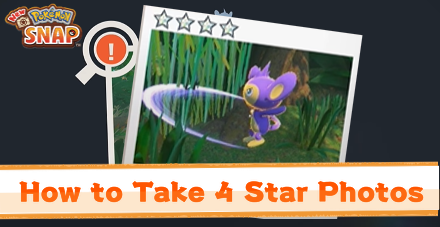 Photo Scoring Guide: Star Meaning and How to Get a High Star Rating ...