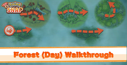 Forest Walkthrough: List of Pokemon and How to Unlock | New Pokemon ...