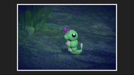Caterpie Locations and How to Get All Stars | New Pokemon Snap (Switch ...