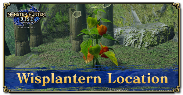 Wisplanterns Location: How to Find and Uses | Monster Hunter Rise | MHR ...
