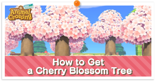 Cherry Blossom Season 2024 Guide: How to Get a Cherry Blossom Tree | ACNH - Animal Crossing: New ...