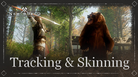 Tracking & Skinning Leveling Guide: How to Level from 0-200 | New World ...