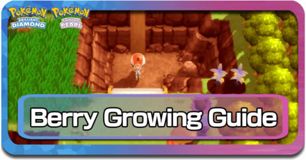 How to Grow Berries | Pokemon Brilliant Diamond and Shining Pearl (BDSP ...