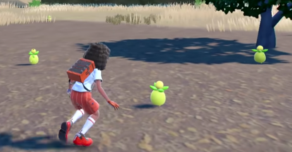 Smoliv - Type, Evolution, and Abilities | Pokemon Scarlet and Violet ...