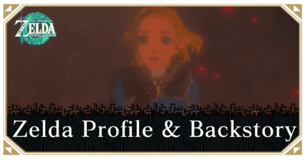 Zelda Profile and Backstory: Will Zelda Be a Playable Character? | The ...