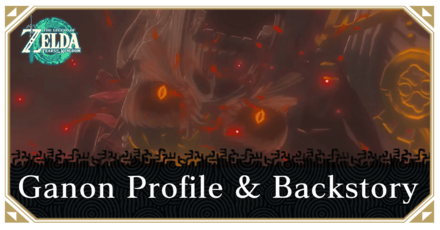 Ganon Profile and Backstory: Will Ganondorf Appear? | The Legend of ...