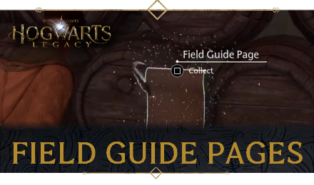 List of Revelio Pages and Locations | Hogwarts Legacy｜Game8