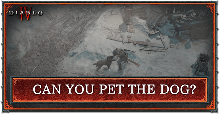 Can You Pet the Dog? | Diablo 4 (D4)｜Game8