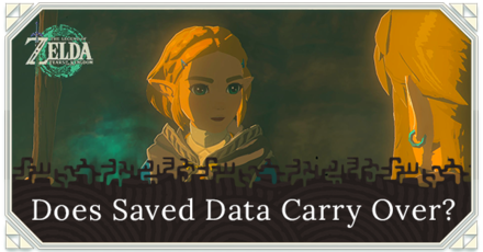 What Transfers Over From Breath of the Wild (BotW)? | Zelda: Tears of ...