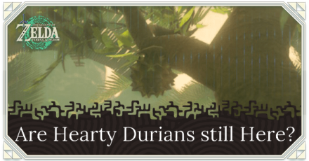 Are Hearty Durians Still in the Game? | Zelda: Tears of the Kingdom ...
