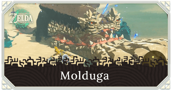 Molduga Locations and How to Beat | Zelda: Tears of the Kingdom (TotK)｜Game8