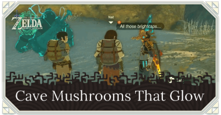 Cave Mushrooms That Glow Walkthrough and How to Unlock | Zelda: Tears of the Kingdom (TotK)｜Game8
