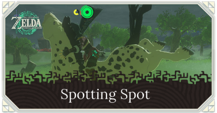 Spotting Spot Walkthrough and How to Unlock | Zelda: Tears of the ...