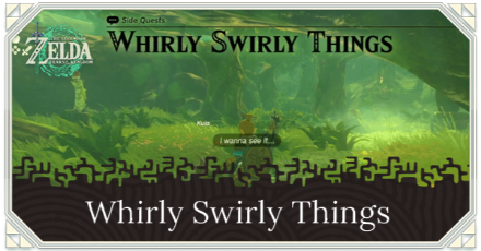 Whirly Swirly Things Walkthrough and How to Unlock | Zelda: Tears of ...