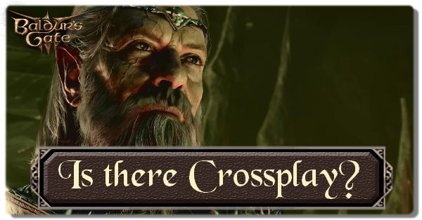 Is There Crossplay? | Baldur's Gate 3 (BG3)｜Game8