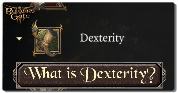 What is Dexterity? | Baldur's Gate 3 (BG3)｜Game8