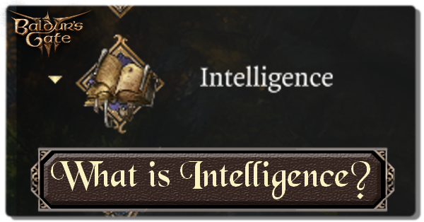 What is Intelligence? | Baldur's Gate 3 (BG3)｜Game8