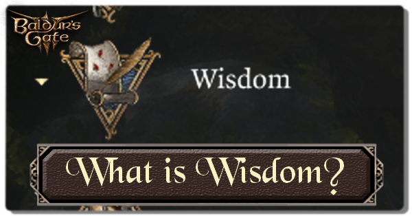 What is Wisdom? | Baldur's Gate 3 (BG3)｜Game8