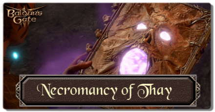 Search the Cellar: How to Open the Necromancy of Thay | Baldur's Gate 3 (BG3)｜Game8