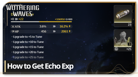 How to Get Echo EXP | Wuthering Waves (WuWa)｜Game8