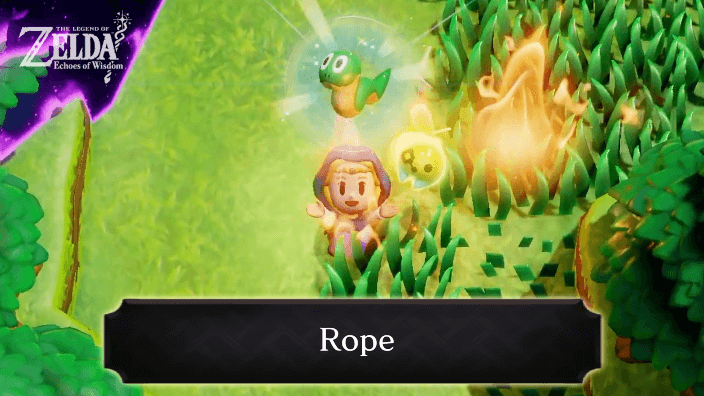 Rope Echo Location and How to Get | Zelda: Echoes of Wisdom (EoW)｜Game8