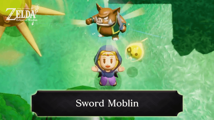 Sword Moblin Echo Location and How to Get | Zelda: Echoes of Wisdom ...