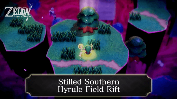 Stilled Southern Hyrule Field Rift Walkthrough | Zelda: Echoes of ...