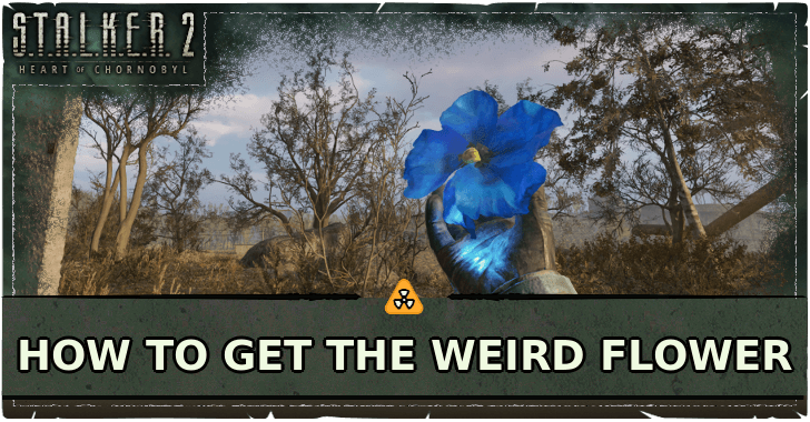 How to Get the Weird Flower: Poppy Field Artifact Location | STALKER 2 ...