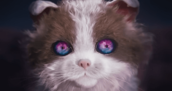 Catly Pre-order and DLC｜Game8
